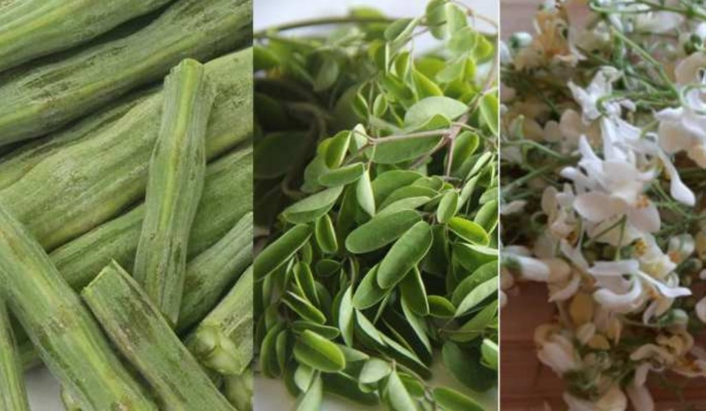 Sahjan Benefits: सहजन का सेवन कई बीमारियों को करेगा छूमंतर, वैवाहिक ...