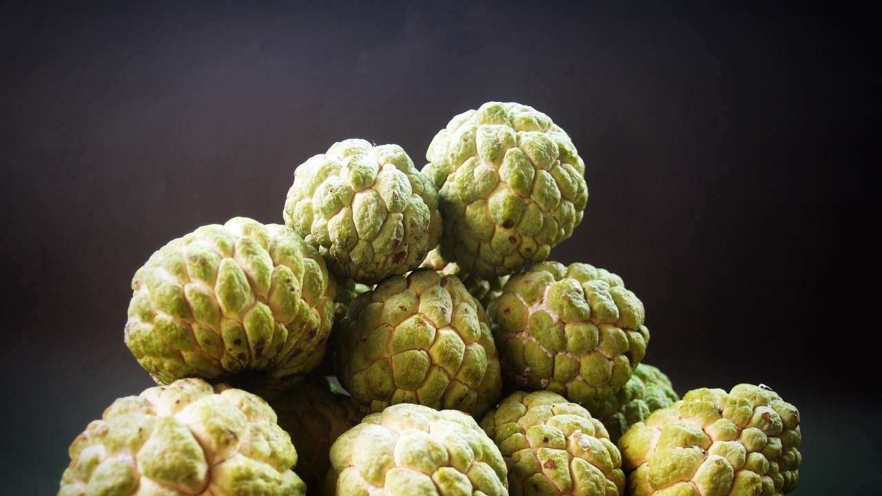 Sitafal Benefit in Hindi Sharfia Ke Fayde aur Nuksan शरीफा सीताफल के फायदे