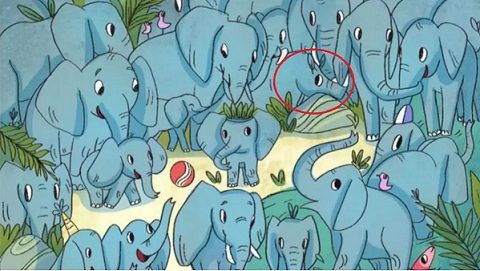 Optical Illusion: Can You Spot The Baby Rhino Hiding Among Elephants Within 10 Seconds?
