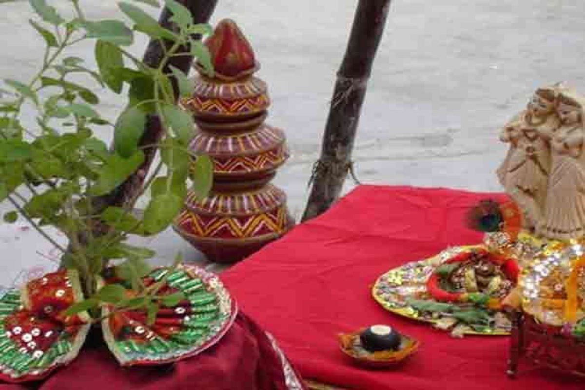 Tulsi Vivah 2022 दारिद्र्य दूर करण्यासाठी तुळशी विवाहाच्या दिवशी करा