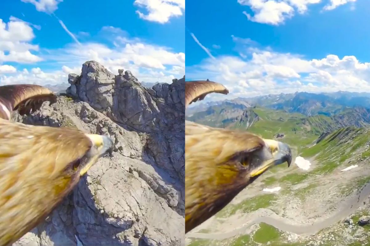 Anand Mahindra Shares Clip of Bird’s Eye View With Motivational Message ...