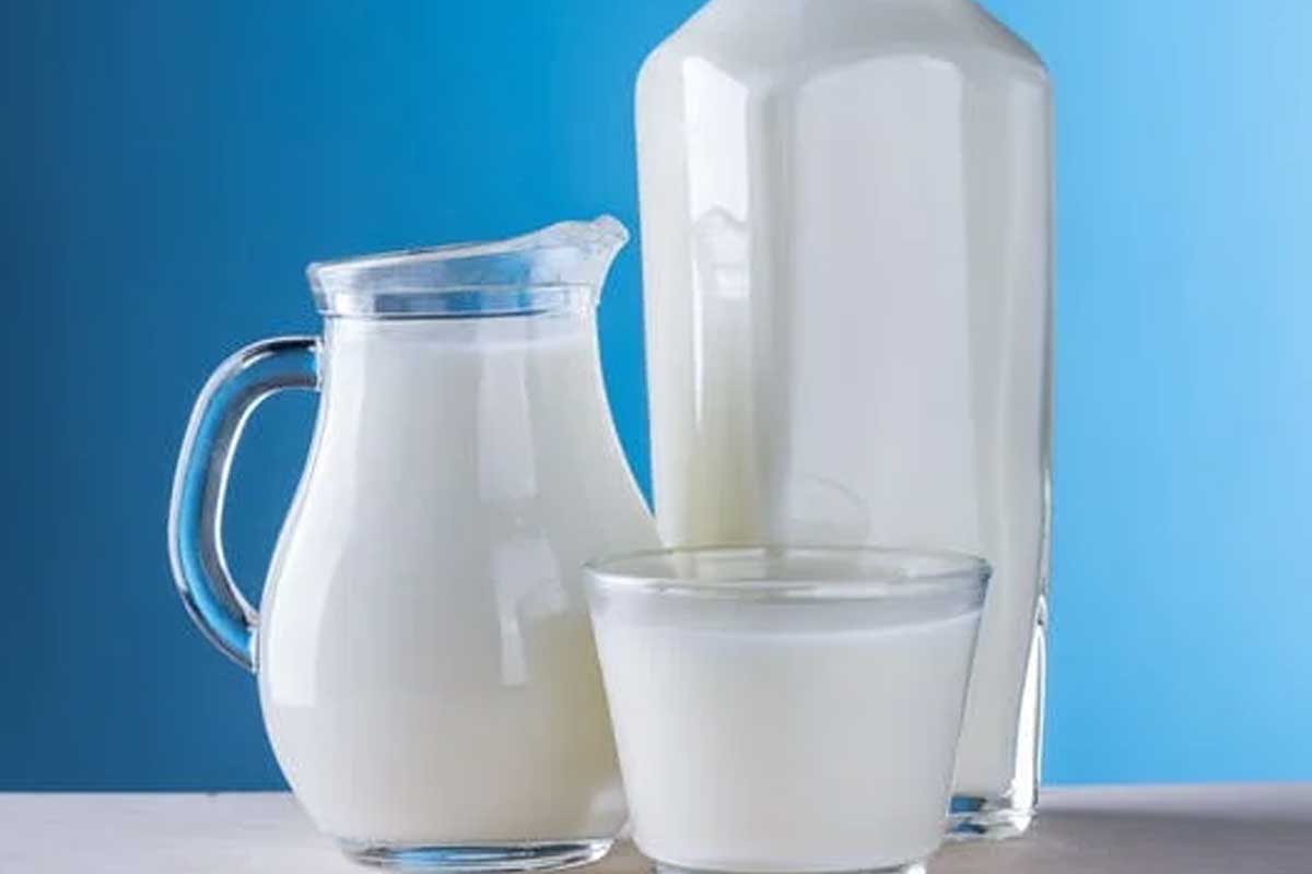 Makhana Milk For Weight Gain: दूध में उबालें मखाना- बादाम और किशमिश ...