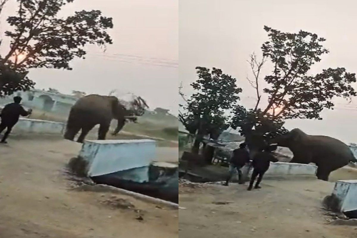पारा चढ़ते ही गांव में तबाही मचाने लगा गुस्सैल हाथी, बाइक को तो फुटबॉल ...