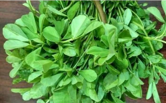 Benefits of Kasuri Methi: महिलाओं की इन समस्याओं का इलाज है कसूरी मेथी ...