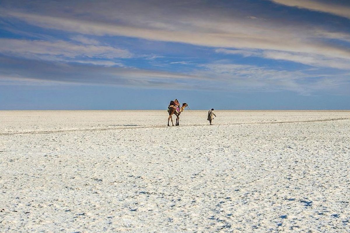 Sands Of Gujarat: What Makes The White Desert Of Rann Of Kutch Unique?
