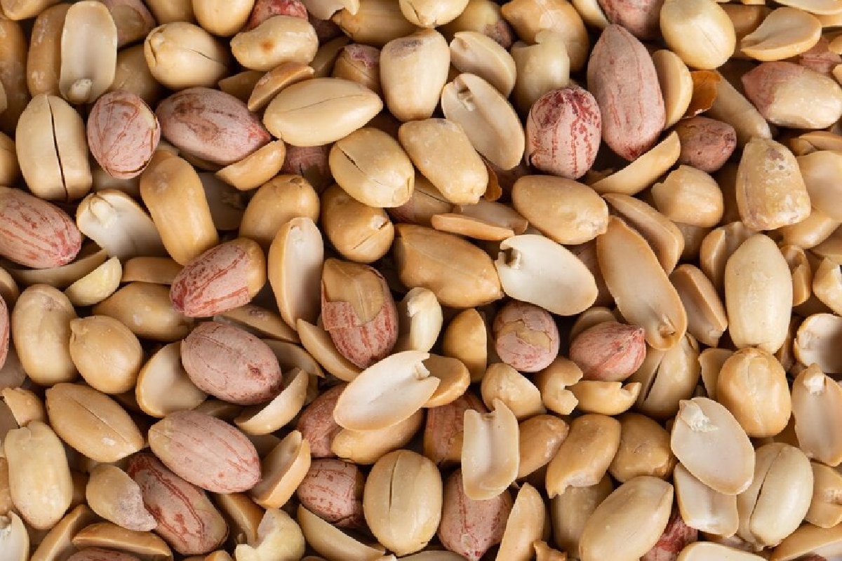 1 दिन में कितनी मूंगफली खाएं? मूंगफली खाने के बाद क्या नहीं खाएं? जानें ...
