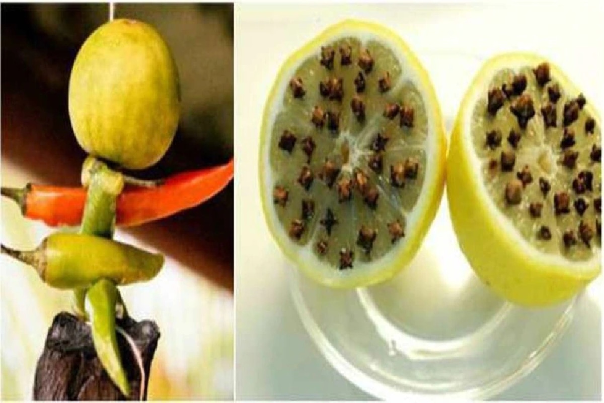 लाल मिर्च और सरसों के तेल से उतारें बच्चे की नजर, जानें नजर उतारने के 6 ...