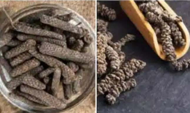 Benefits Of Pippali: नपुंसकता की समस्या से हैं परेशान तो करें पीपली का ...