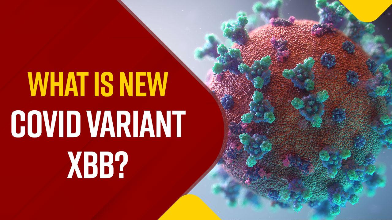 New Covid Variant: What Is XBB Variant Of Coronavirus? How Severe Is It ...