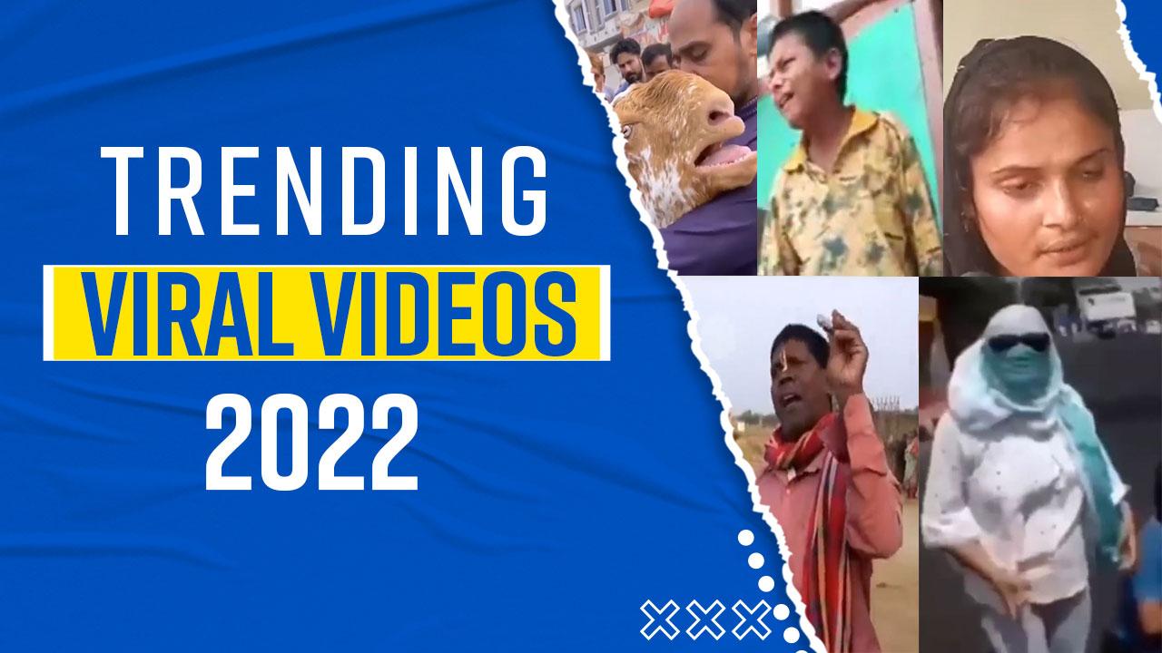 Top 5 Viral Video 2022: मालिक के गले लग बकरे के रोने से लेकर कच्चा ...