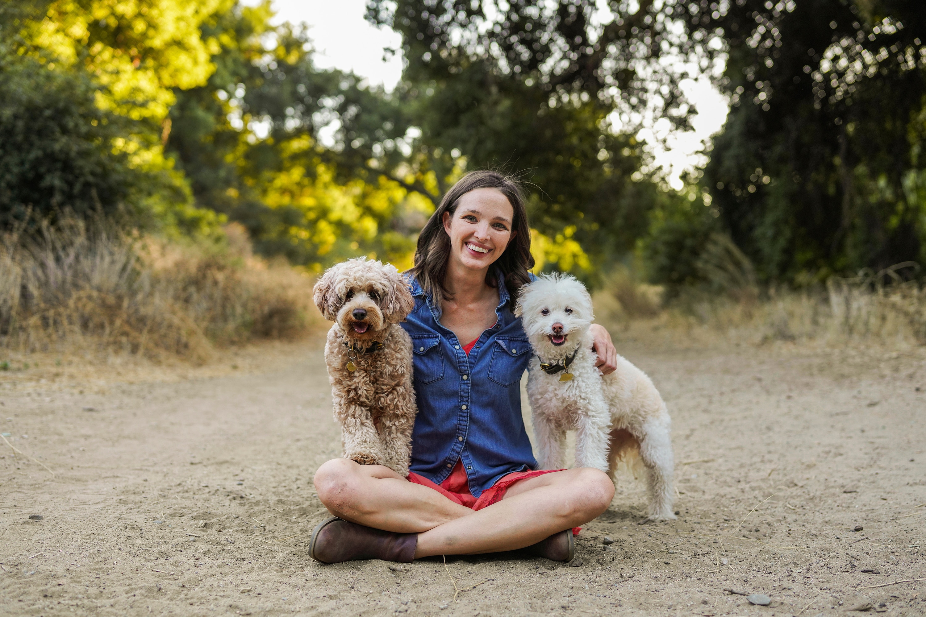 Bringing a Dog Along for a Holiday Stay? Make Sure to Plan
