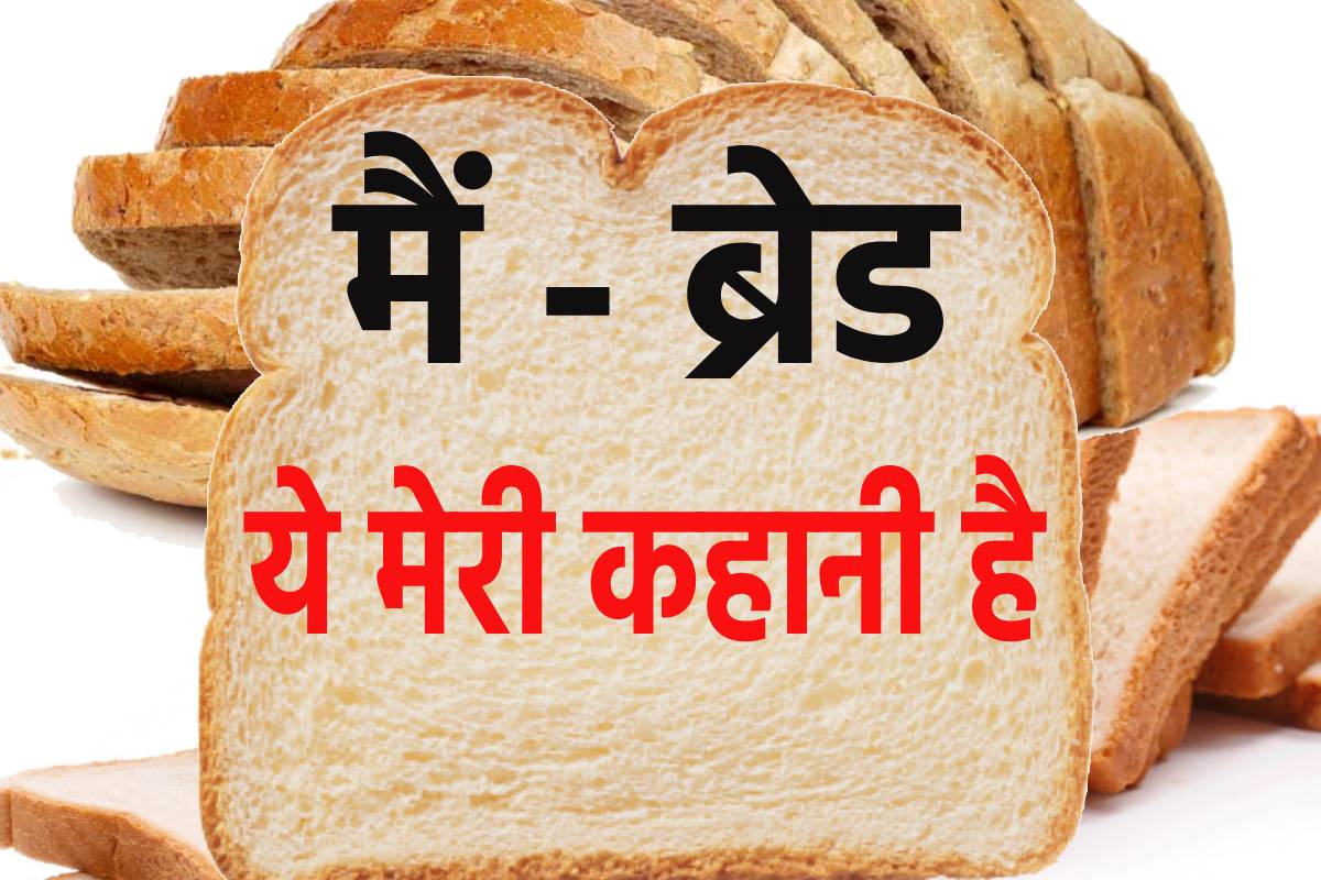 मैं ब्रेड हूं, रोज सुबह दो स्लाइस खाते तो हो, आज मेरी ये कहानी भी जान लो