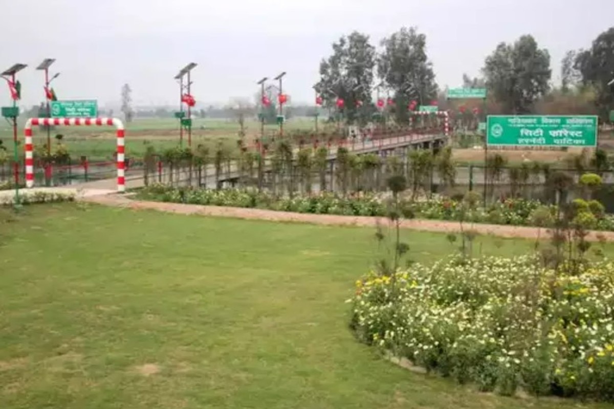 City Forests in Universities: देशभर के विश्वविद्यालयों में स्थापित किए ...