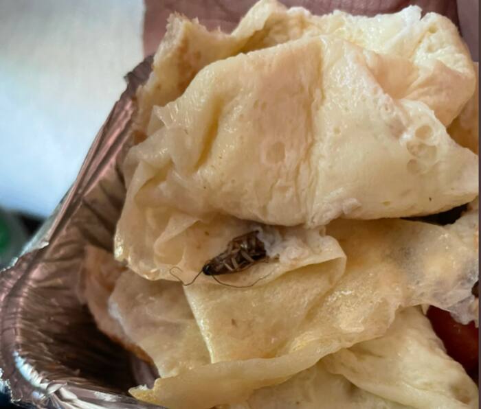 Netizens Slam Indian Railways After Cockroach Found In Food For Toddler ...