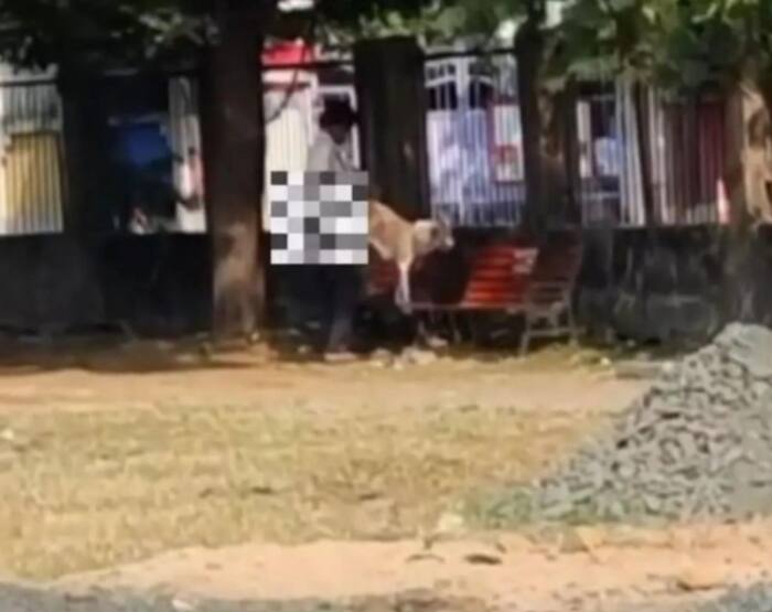Disgusting! Man Arrested For Trying To Rape Stray Dog In Nagpur; Video ...