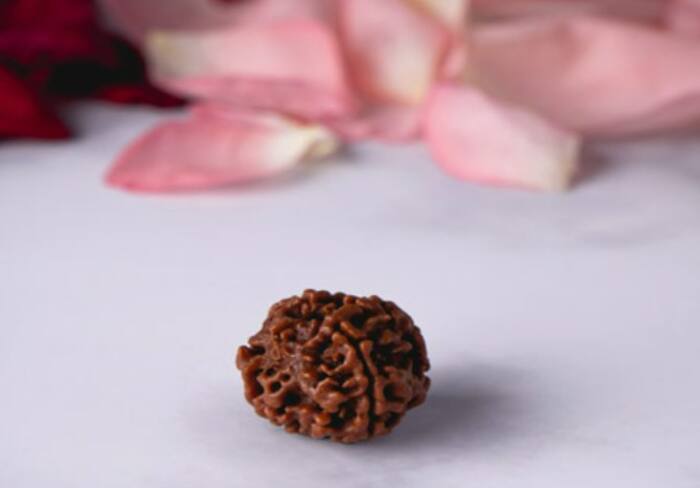 Benefits of Rudraksha: रुद्राक्ष माला पहनने के हैं कई फायदें, एक मुखी ...