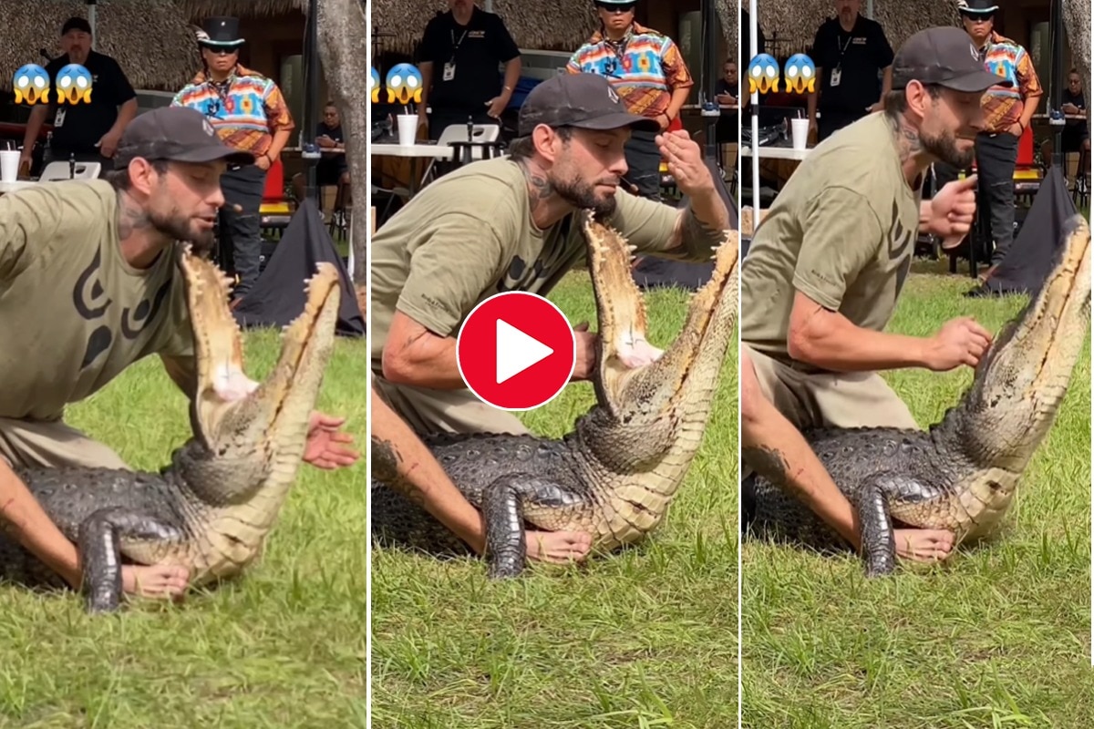 Magarmach Ka Video: मगरमच्छ का जबड़ा फाड़कर हाथ डाल रहा था शख्स, तभी ...