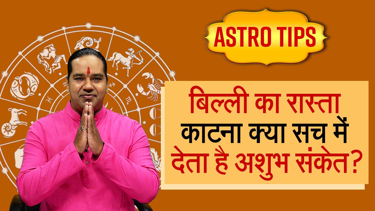 Astro Tips: बिल्ली का रास्ता काटना क्या सच में देता है अशुभ संकेत? Watch Video