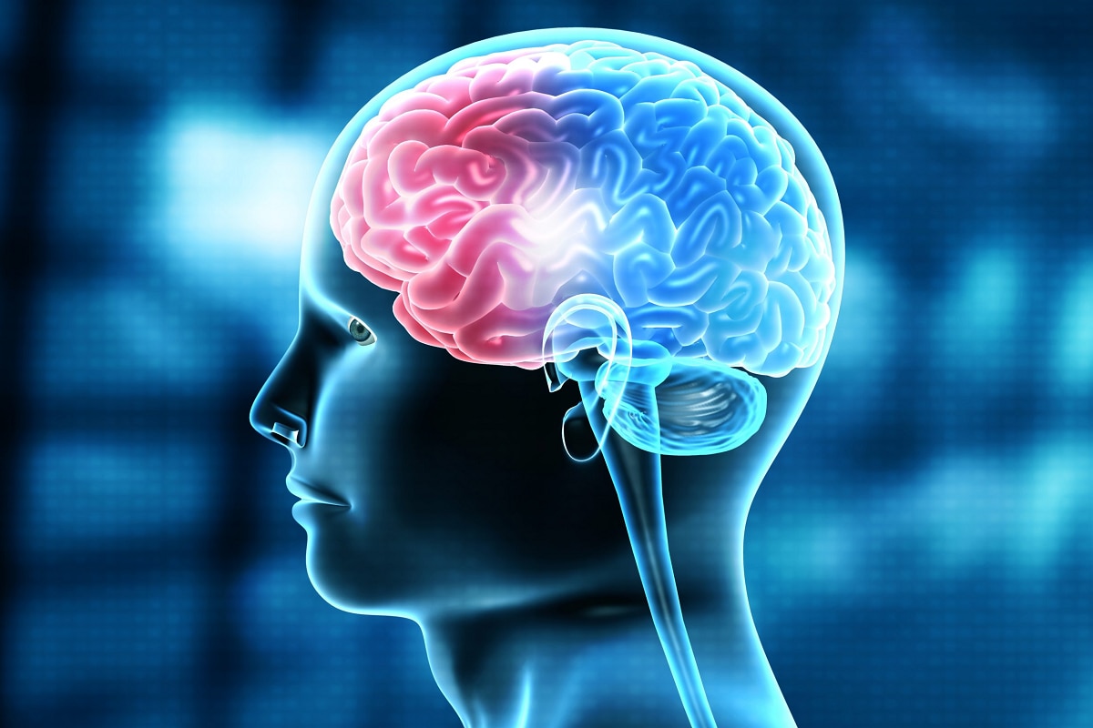 शरीर के इस हिस्से में दर्द हो सकता है कमजोर दिमाग का लक्षण, जानें अन्य ...