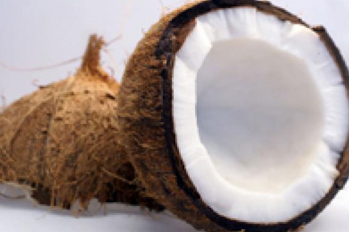 महिलाओं के लिए क्यों वर्जित है नारियल फोड़ना? नारियल और मिश्री के क्या ...