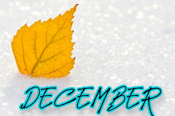 Numerology: Birthday Prediction For People Born in December And Lucky Tip