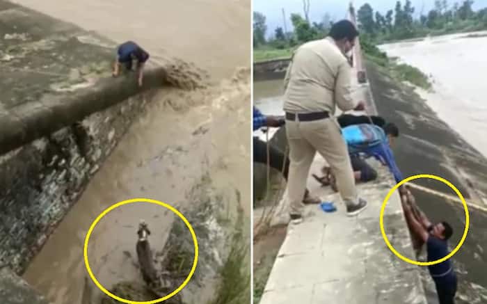 Man Saves Dog Stuck in an Overflowing Water Reservoir, Video Goes Viral as Internet Applauds Him