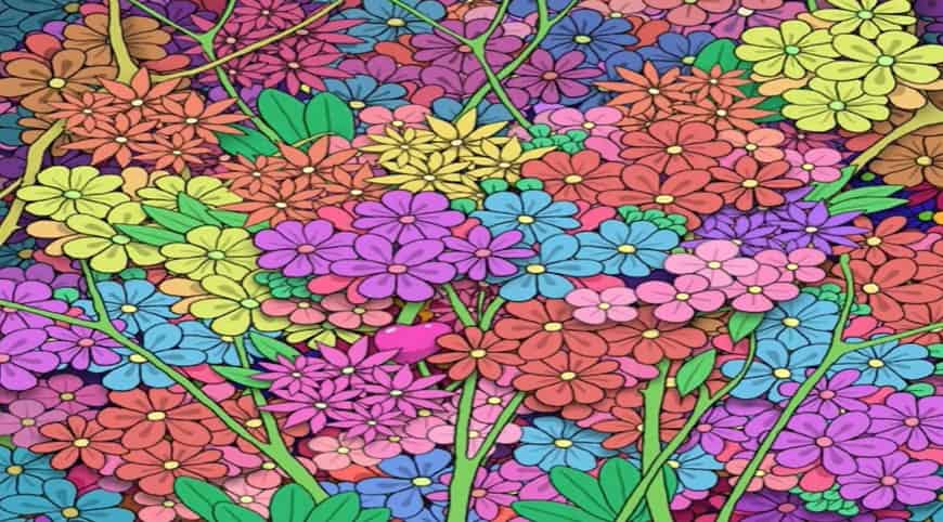Optical Illusion: Can You Find The Heart Hidden Among These Flowers ...