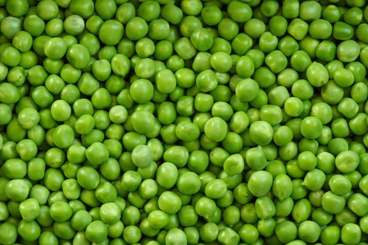 जानिए हरी मटर का पराठे बनाने की विधि, सामाग्री