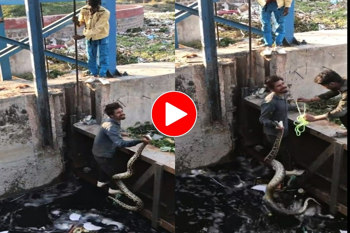 Azgar Ka Video: हाथ डालकर नाले से अजगर निकाल लाया शख्स, फिर रस्सी ...