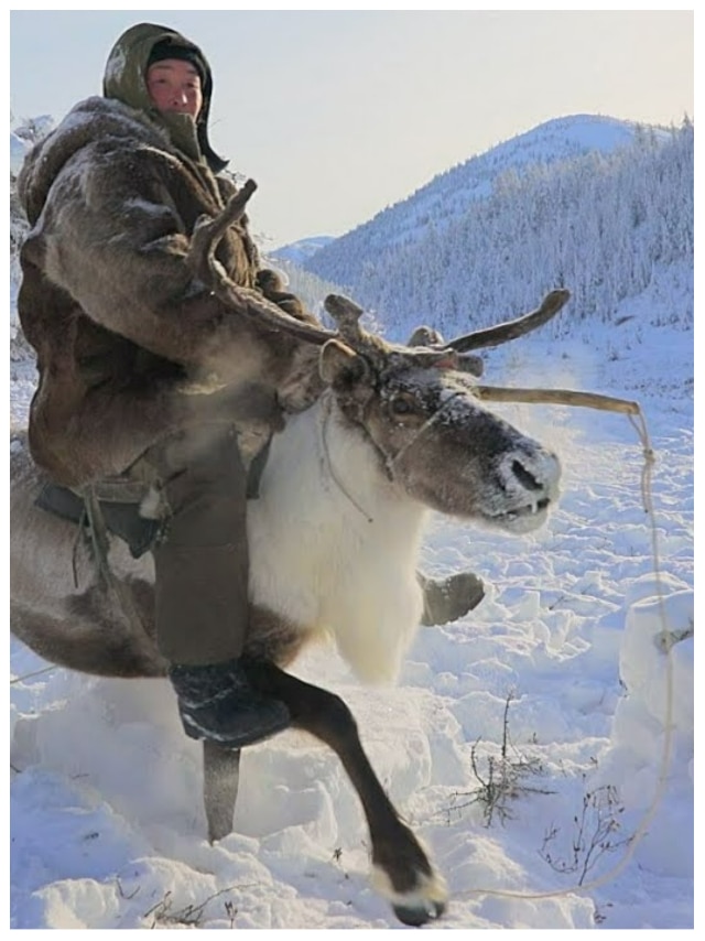 Pole of Cold: ये है दुनिया का सबसे ठंडा गांव.. ऐसे रहते हैं यहां लोग