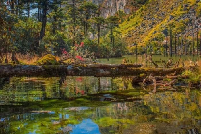 Tawang Is An Unmissable Offbeat Winter Escape In North East. Know Why ...