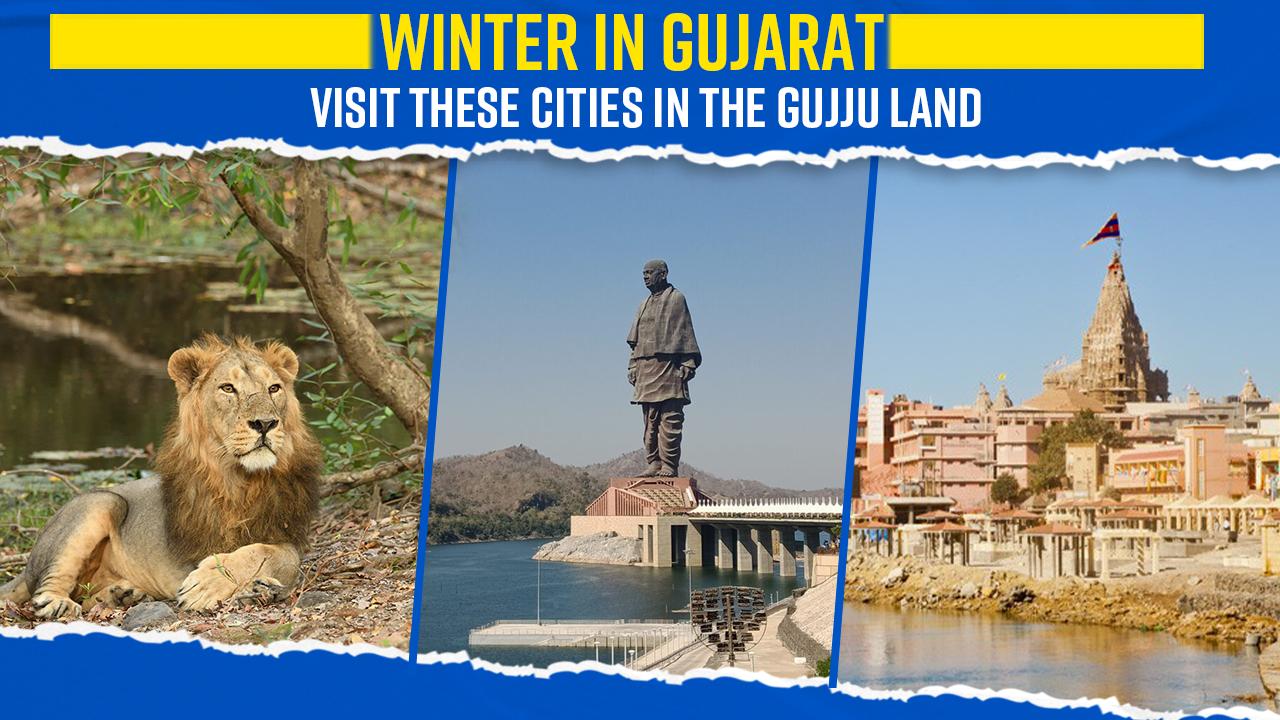Gujarat Travel Guide: Great Rann of Kutch to Dwarka, Top 5 Must Visit ...