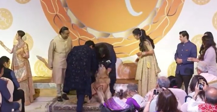 Ambani Dog Enters as Ring Bearer at Anant Ambani-Radhika Merchant ...
