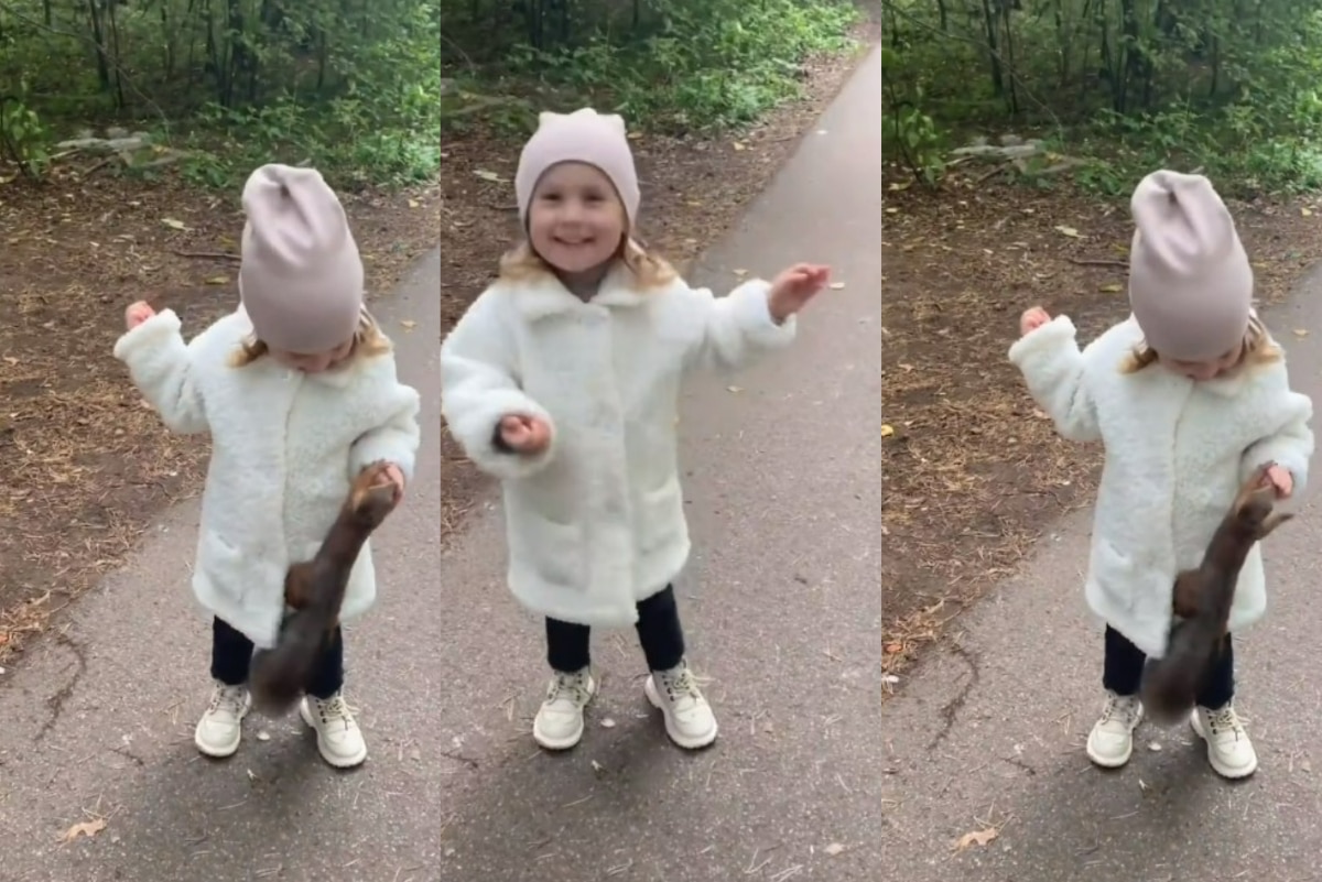 Little Girl Playing with a Squirrel is Too Cute to Handle, Watch Viral ...