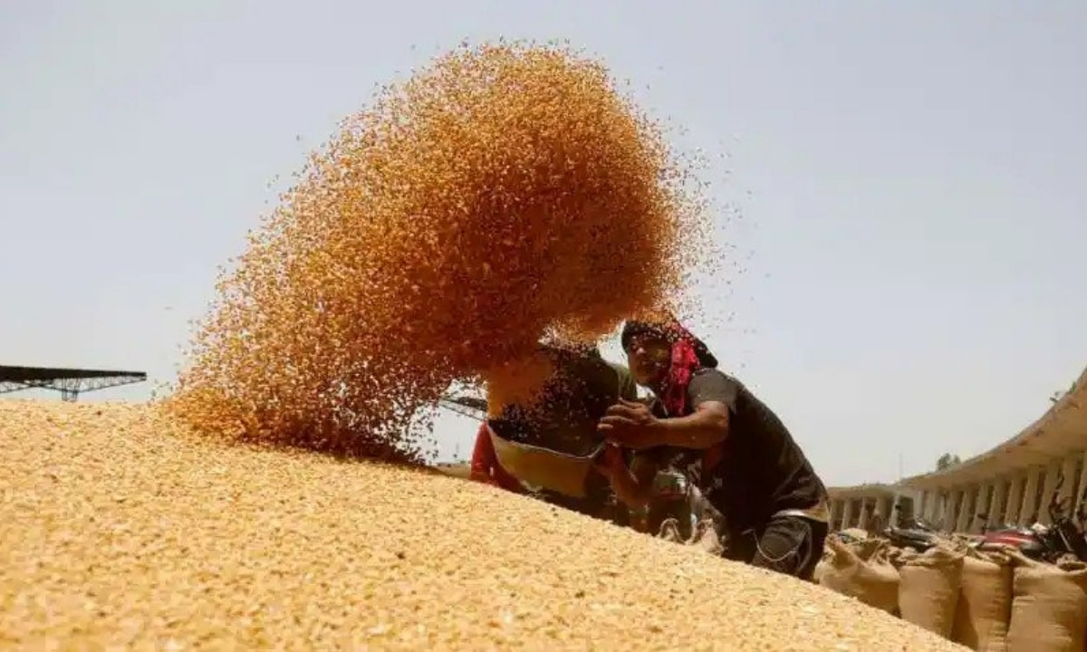 Alarm Bells Ring As Rice, Atta & Several Other Essentials Touch Sky ...