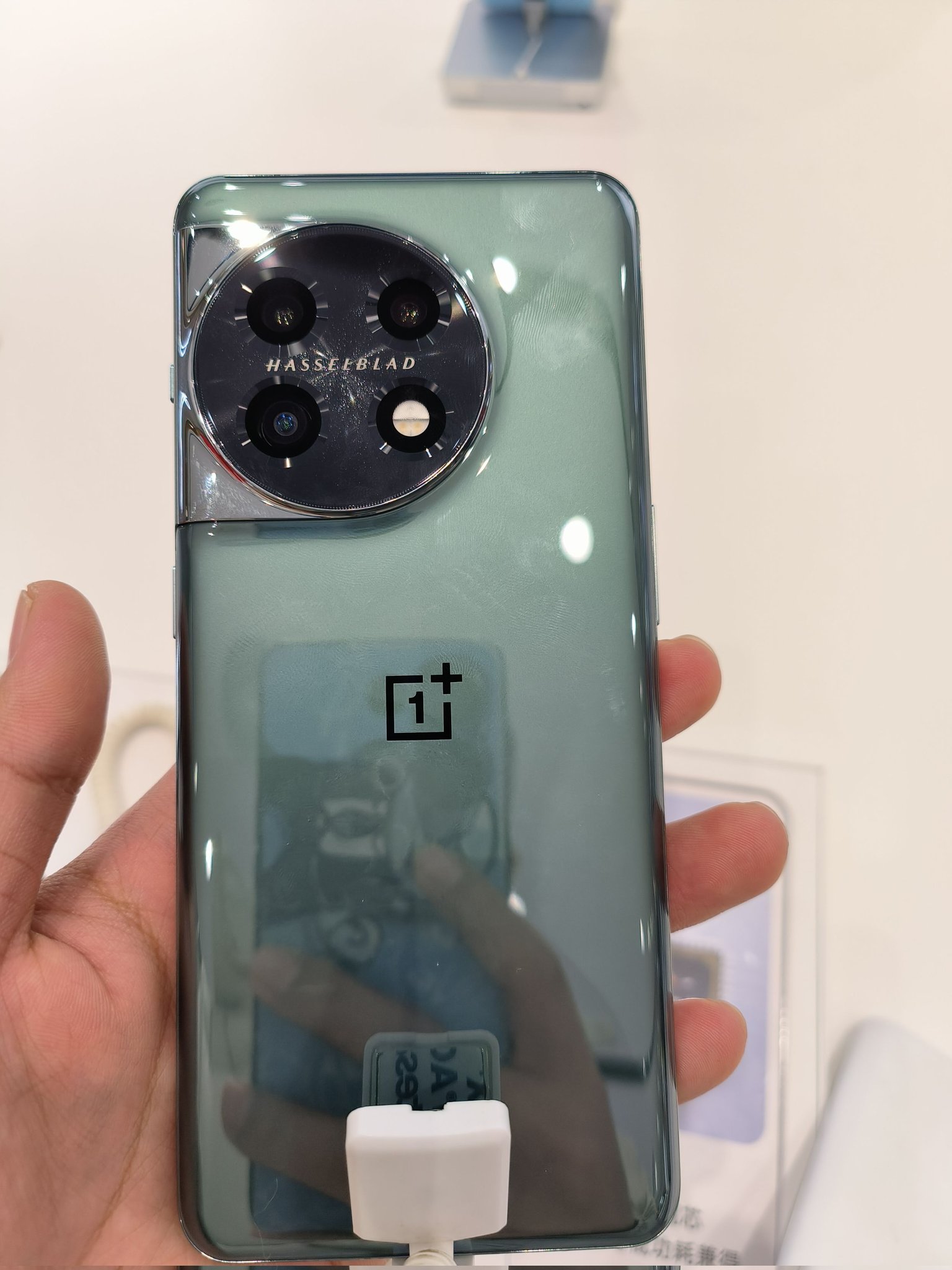 OnePlus 11 Launch Tomorrow | All You Need to Know