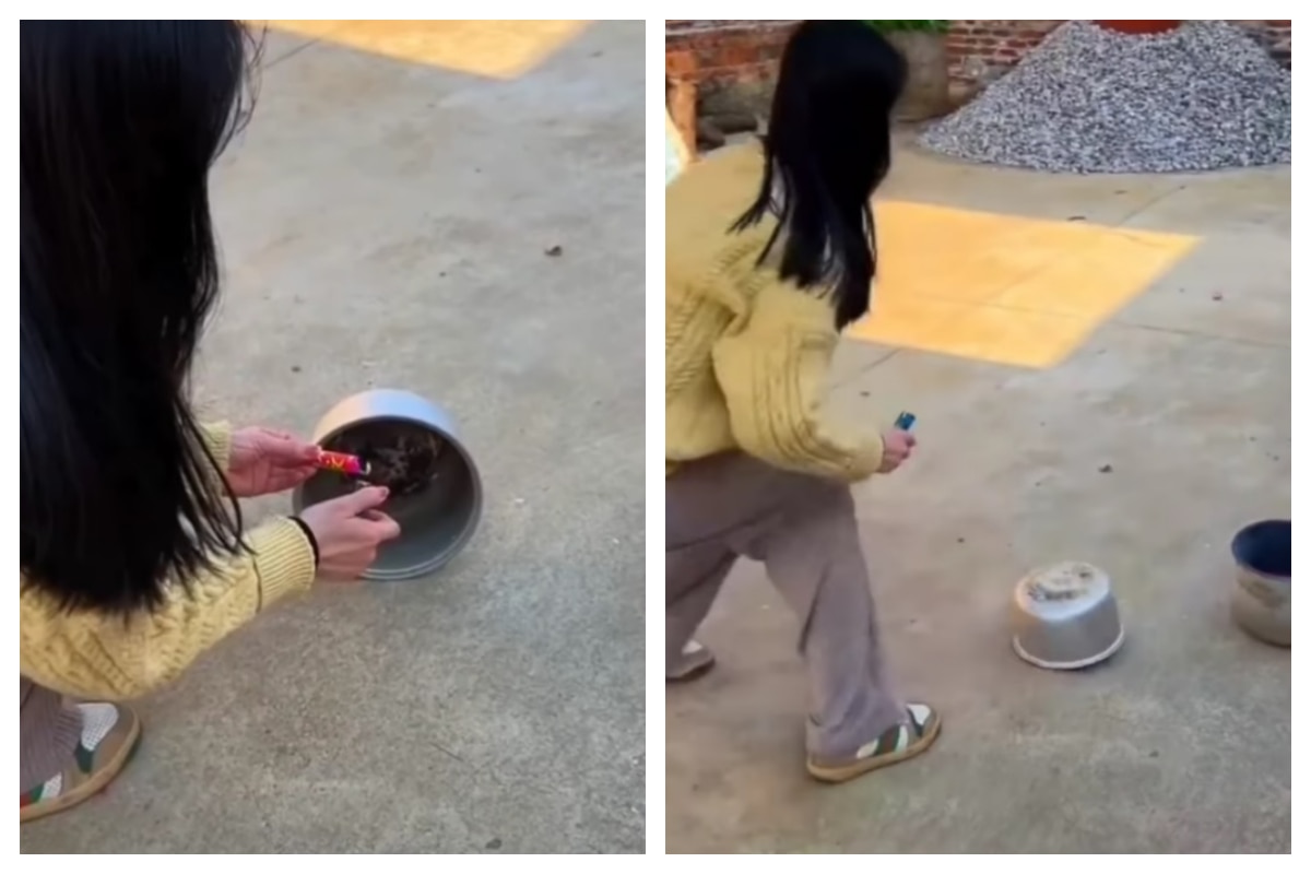 Viral Video Girl Places Metal Utensil Over Lit Up Firecracker And Then ...