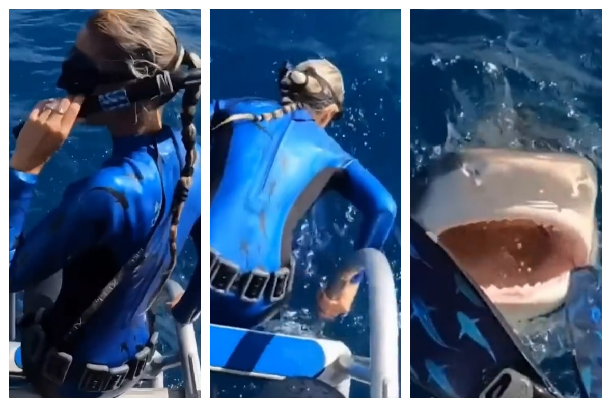 Woman Is All Set To Jump In Sea When THE JAWS Appears Watch Frightening ...