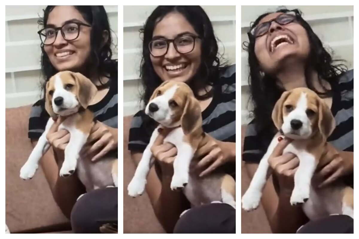 Viral Video Beagle Puppy Enjoying Classical Music Like A Pro Is ...