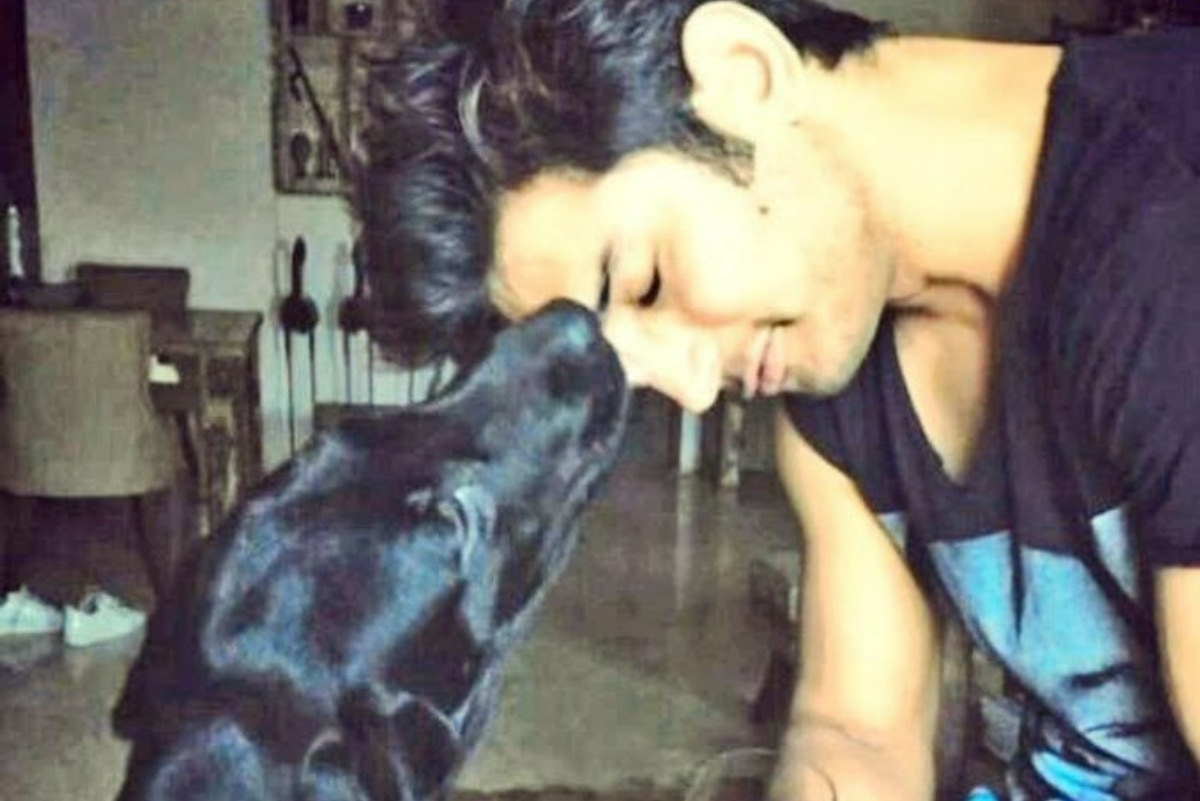 Sushant Singh Rajput Dog Dies, Emotional Fans Recall Their Beautiful ...