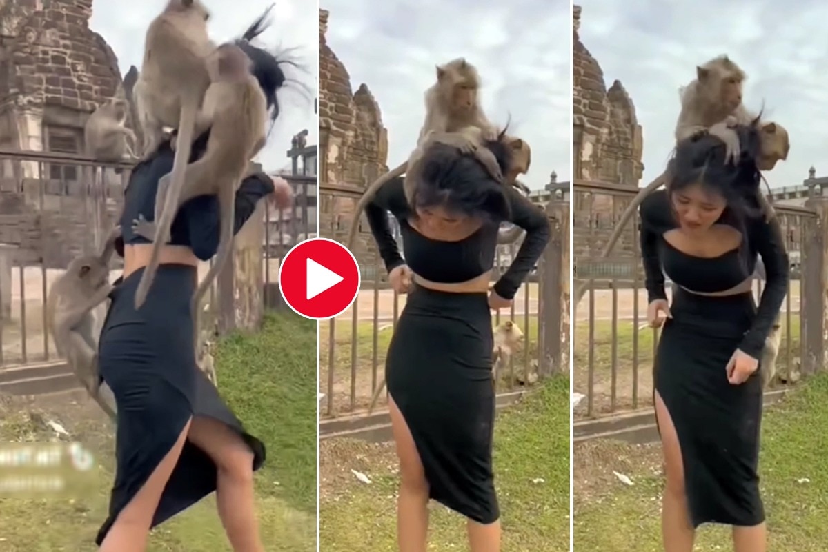 Bandar Ka Video: लड़की ने बंदर को छेड़ा तो आ गई पूरी वानरी सेना, फिर जो ...