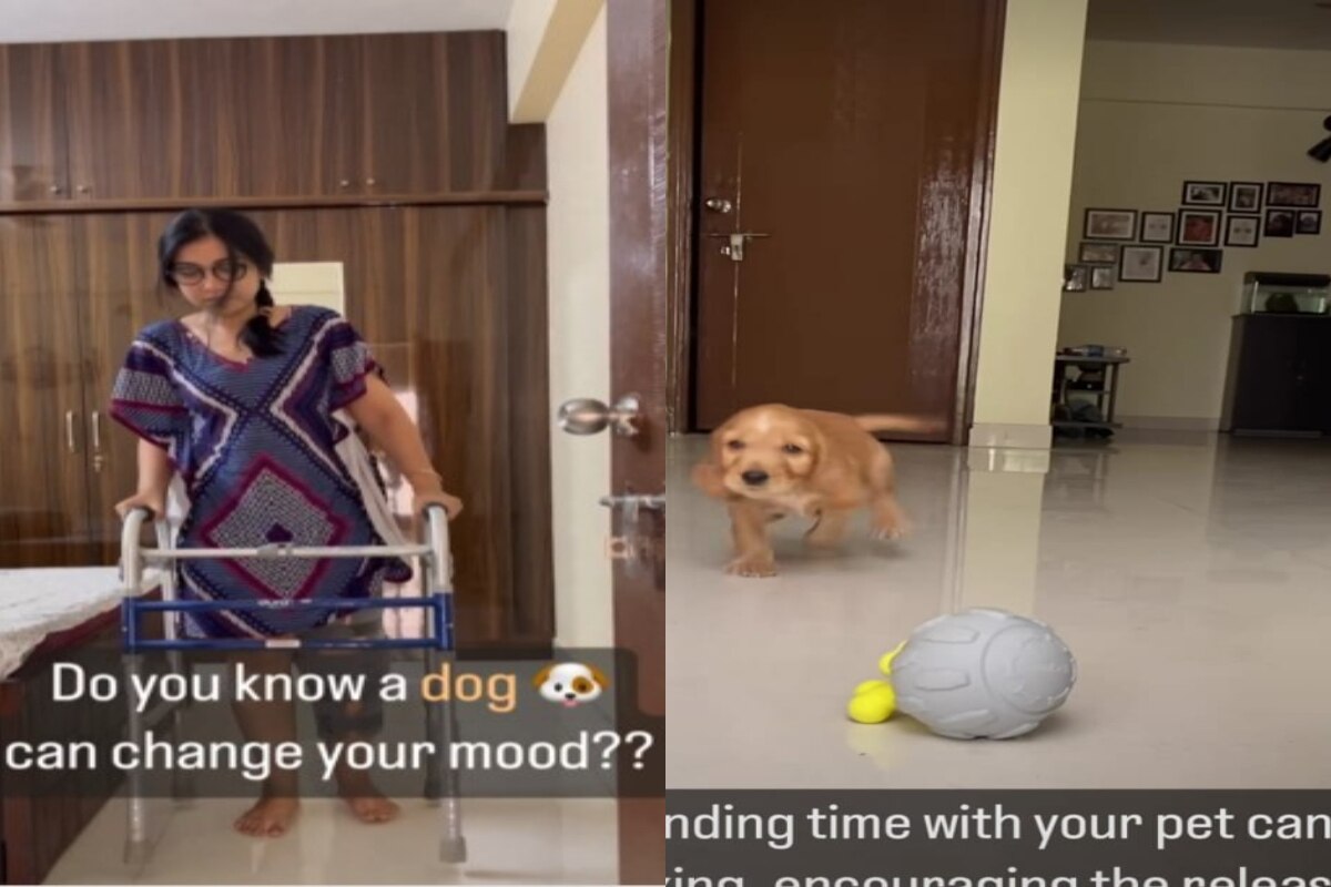 Viral Video: Pet Dog Helps Woman Recover From Surgery, Internet Calls ...