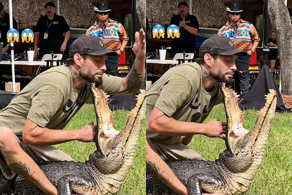 मगरमच्छ के जबड़े में पंजा डालने की बड़ी भूल कर बैठा शख्स, आगे जो दिखा ...