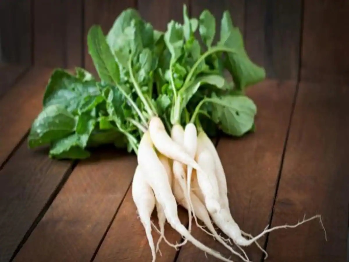 Radish Leaf Benefits: आप भी मूली के पत्ते फेंक देते हैं? इसके फायदे जान ...