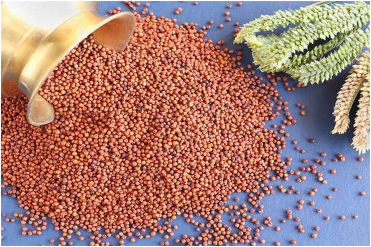 Indian Millets Year 2023: मोटे अनाज की श्रेणी में शामिल किए गए हैं ये 8 ...