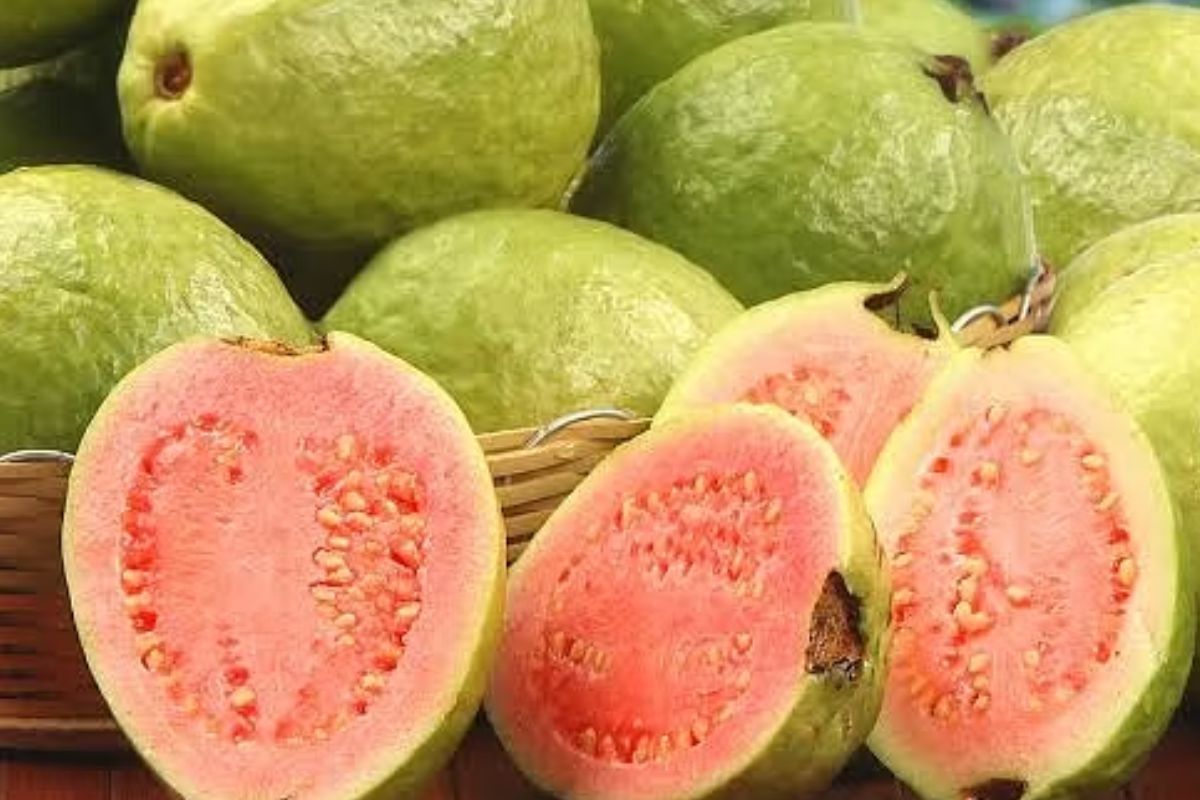 भूख बढ़ाने के लिए अमरूद को भूनकर खाएं, जानें भुने हुए अमरूद के अन्य फायदे