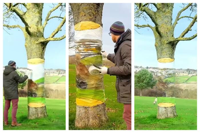 Man Makes Tree Trunk Disappear In Surroundings | Watch Viral Video