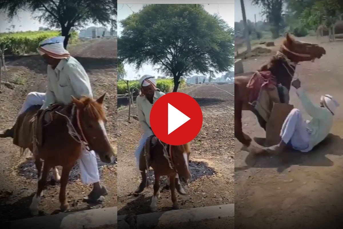 Chachaji Ka Video: खुशी-खुशी गधे पर सवार हो गए चाचाजी, तभी घुमाकर ऐसा ...