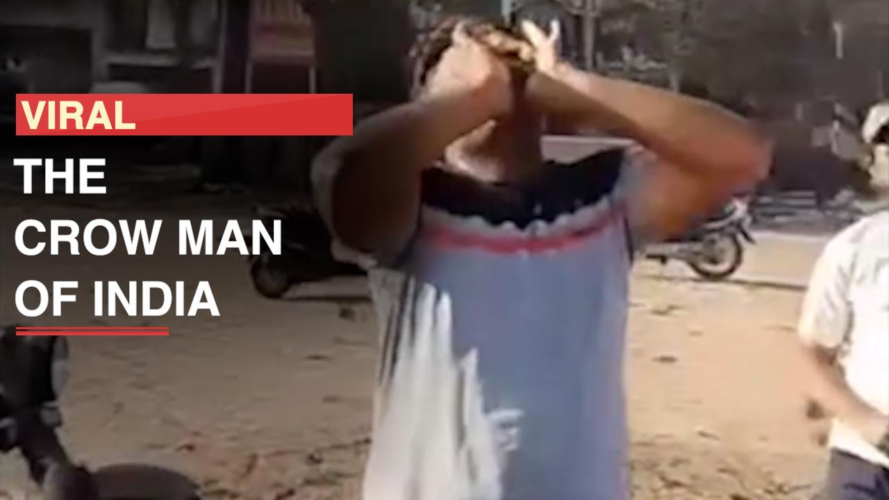 Viral Video: Man Makes Unique Sounds, Fills Sky With Flock Of Crows ...