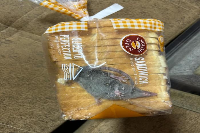 Blinkit Delists Store After Man Finds Rat In Bread Packet Ordered From ...